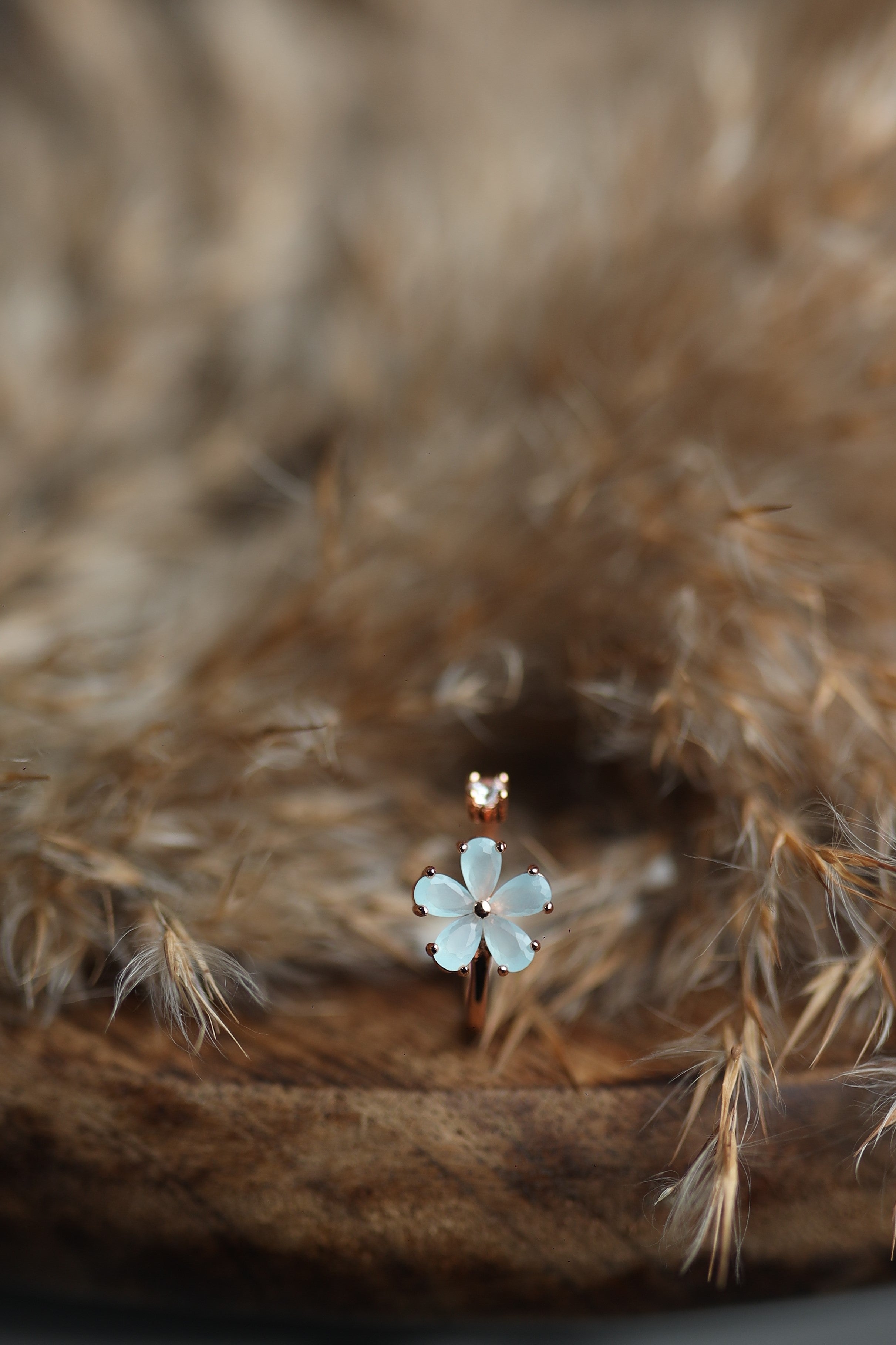 Rings – Page 2 – Ishil